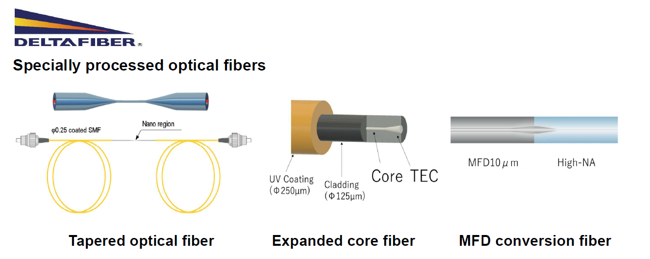 Principal details | Unleashing the Power of Quantum Information Technologies