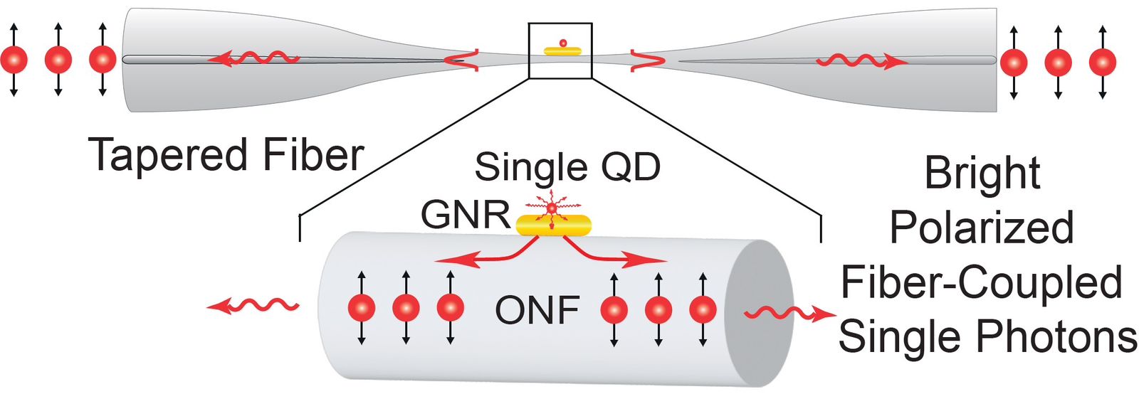 Home | Unleashing the Power of Quantum Information Technologies
